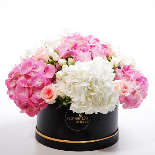 Pink & White Hydrangeas with Roses. Exotic and Fresh. Great Price ...