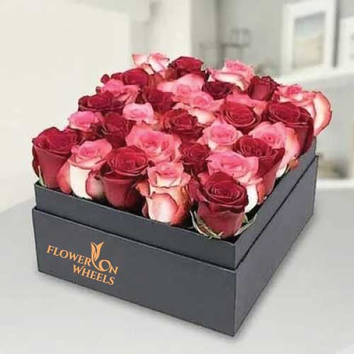 Red and Pink Roses. Lovely Box. Free Delivery. Great Price